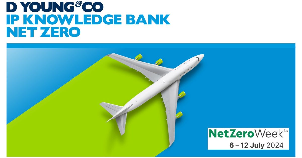 D Young & Co | Fly net zero 2050