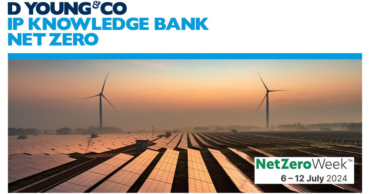 D Young & Co | Interconnecting the way to net zero: the missing…